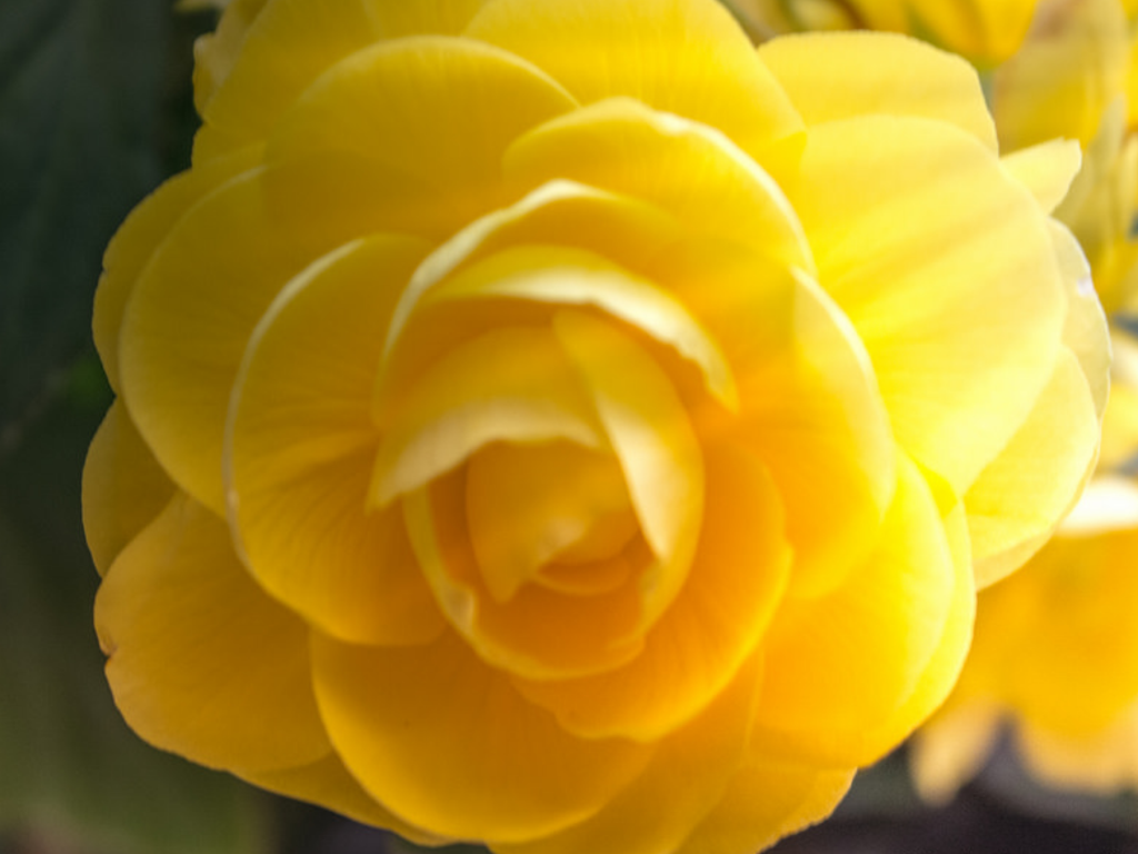 Edith E. Richardson - Oskaloosa News | Oskaloosa News